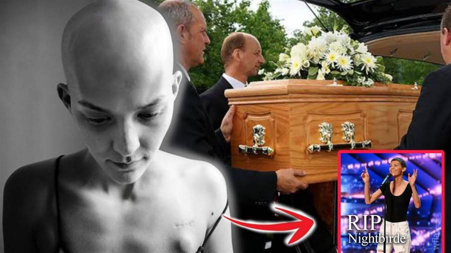 Illuminating the Sky: A Heartbreaking Tribute to Jane Marczewski ...