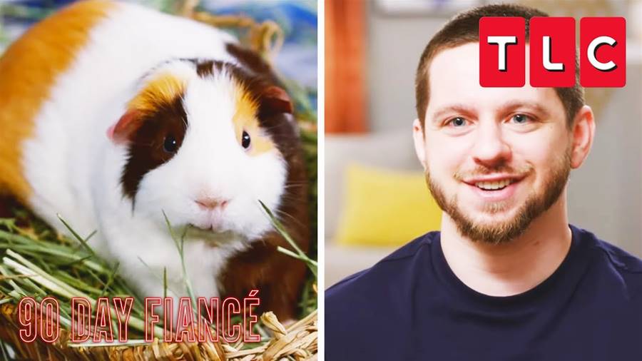 Discover the Dynamic Duo of Guinea Pigs and More Tales on TLC's 90 Day ...